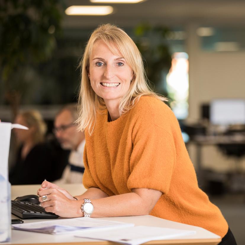 Ntex - Inrikes vägfrakt